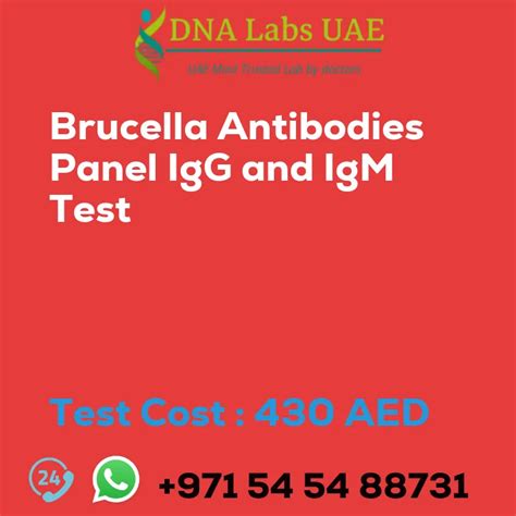 Brucella Antibodies Panel Igg And Igm Test Cost Dna Labs Uae