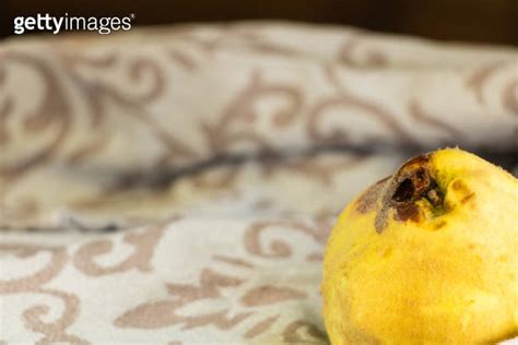 Whole Cind With Yellow Fluffy Skin After A Last Season Harvest On A Grey Tea Towel With