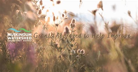 Grants Approved To Improve And Protect Parks Newsymom