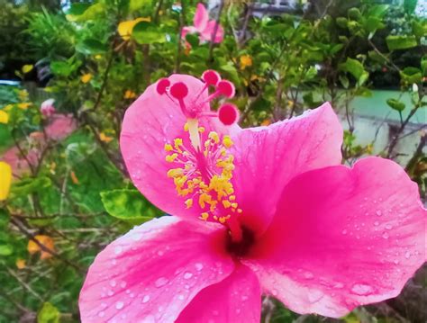 Обзор на бюджетный смартфон Infinix S5: характеристики, достоинства и ...