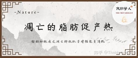 代谢学人 Nature凋亡的脂肪细胞也要发挥余温 知乎