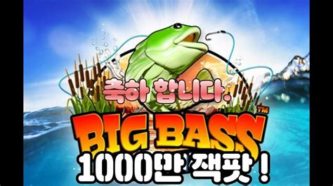 슬롯 슬롯머신 프로그마틱 Big Bass 빅 배스 메가윈 빅윈 너무 잘나와요~ Youtube