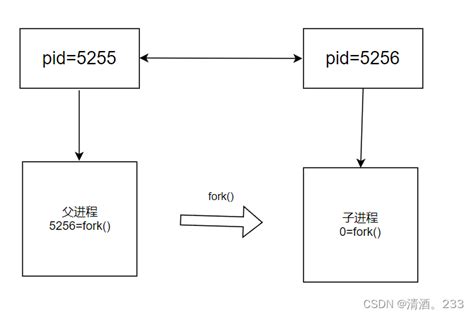 86linux系统下复制进程fork逻辑地址和物理地址fork 复制地址空间 Csdn博客