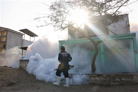 Cdc Perú Emite Alerta Epidemiológica Por Epidemia De Dengue En El País