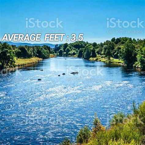 Average I Think Everyone Heard This Word But You Know Guys How