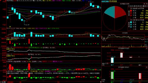 佳禾食品 605300 超赢数据TopView赢富数据查询 查股网