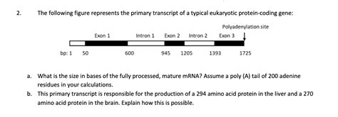 Solved 2 The Following Figure Represents The Primary
