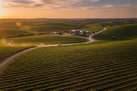 Valle De Guadalupe In May Wine And Weather