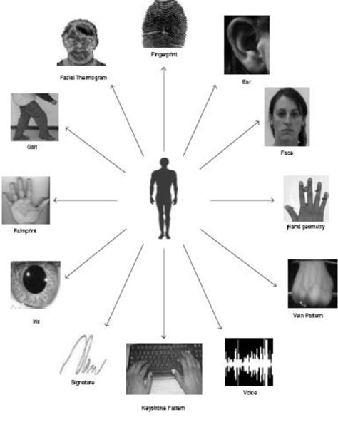 Figure 1 From Person Recognition Using Multimodal Biometrics Semantic
