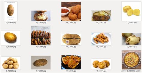 垃圾分类数据集垃圾分类识别训练代码pytorch51cto博客垃圾分类 识别