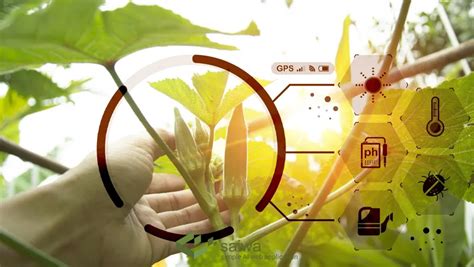 Smart Crop Protection System Using IoT Field Intelligence