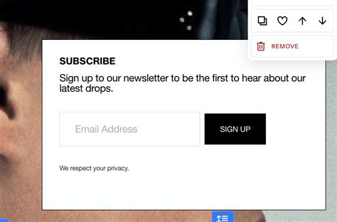 Customize Newsletter Block Customize With Code Squarespace Forum