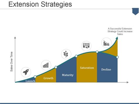 Extension Strategies Ppt Powerpoint Presentation Visual Aids Styles