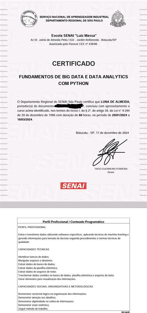big data analytics com python 🎉🎉🎉🎉 senai são paulo luna de almeida