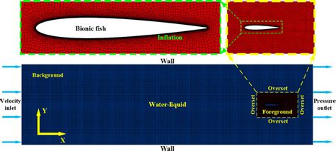 Overset Mesh And Boundary Conditions Download Scientific Diagram