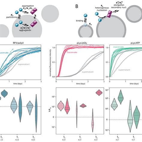 Fitting Of The Aggregation Models A Schematic Depiction Of The Download Scientific Diagram