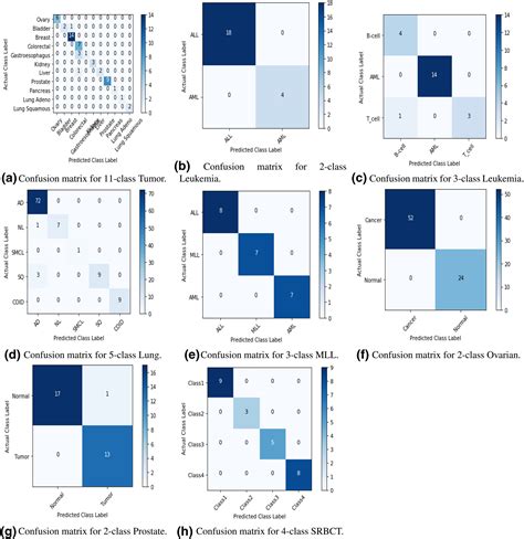 Ensemble Learning‐based Classification Of Microarray Cancer Data On