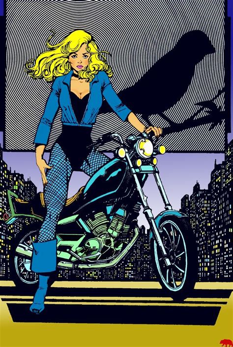 The Birds Of Prey Batgirl Black Canary And Huntress Artofit