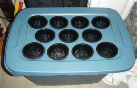 Hydroponic Passion DIY Deep Water Culture DWC System