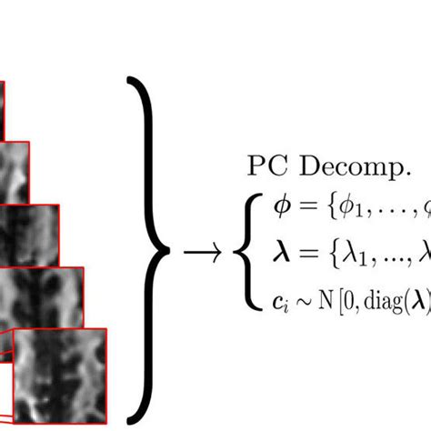 Plot Of Typical Estimated Coefficient Images From The Two And