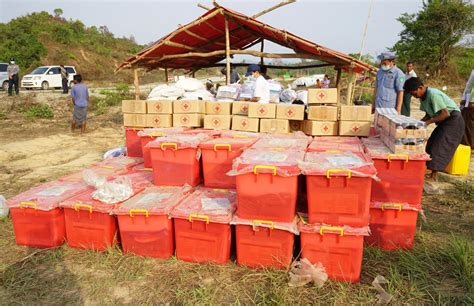 ရခိုင်ပြည်နယ် မောင်တောမြို့နယ် ကျောက်ပန္ဒူကျေးရွာတွင် လာရောက်နေထိုင်ကြသော စစ်ဘေး ရှောင် မြိုတိုင