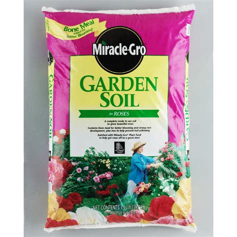 Where Do You Plant Roses Back Gardener