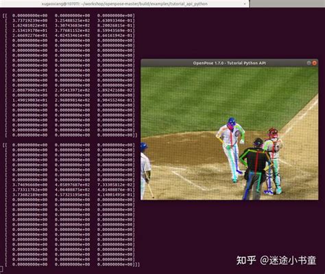 Openpose源码编译 知乎