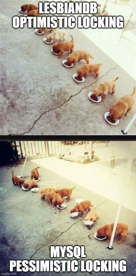 Lesbiandb Vs Mysql Multithreading Rmemes