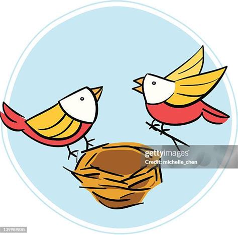 Robin Building Nest Photos And Premium High Res Pictures Getty Images