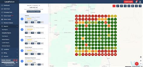 Competitor Report Local Falcon