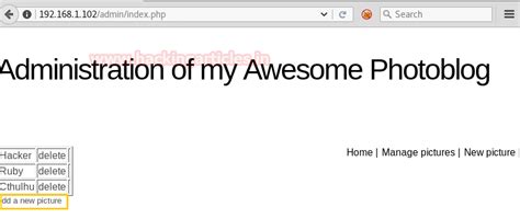 Hack The Pentester Lab From SQL Injection To Shell II Blind SQL