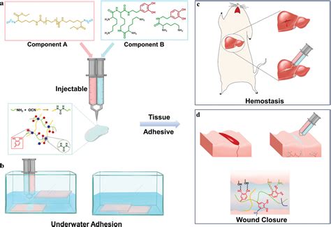 Bioinspired Injectable Polyurethane Underwater Adhesive With Fast Bonding And Hemostatic