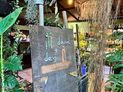 脱プラに取り組むプノンペンの緑豊かなガーデンレストラン（kinin Nahokos Blog