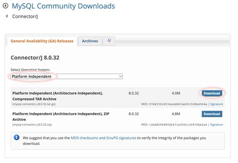 Intellij And Mysql 연동