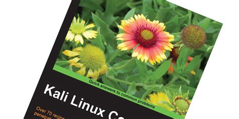 ฟรี Ebook Kali Linux Cookbook Techtalkthai