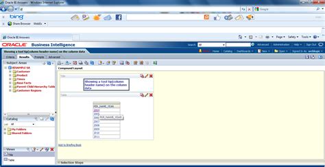 Diksha Sea Obiee 11g Showing A Column Name As A Tool Tip When The