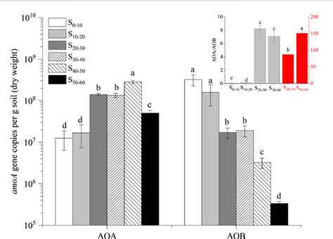 Table 1 From Ammonia Oxidizing Archaea And Ammonia Oxidizing Bacteria