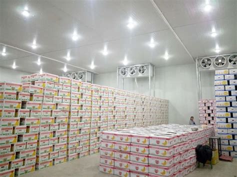 建一个300吨蔬菜保鲜冷库大约需要多少钱冷迪制冷