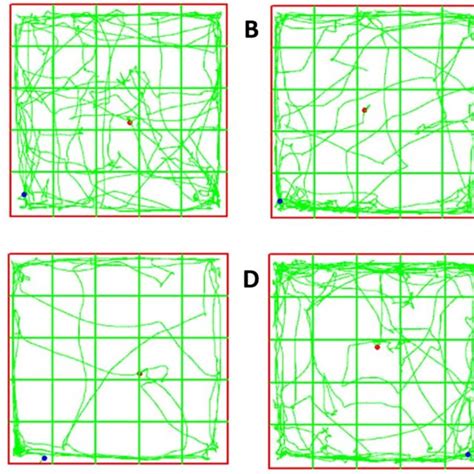 Open Field Representative Trajectories Of Offspring In Each Group A Download Scientific