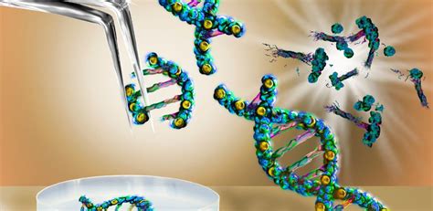 Crispr Basics And Gene Editing Applications Dromics Labs