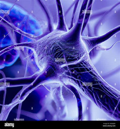 Microscopic View Of The Synapses Brain Connections Neurons And