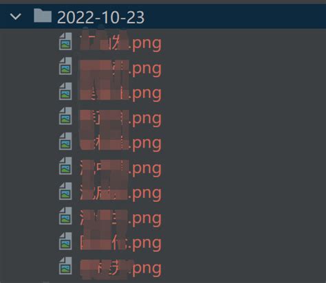 GitHub Query nucleic acid detection 随申办核酸检测批量查询然后保存