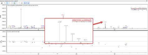 How To Display Internal Fragment Ions In Byonic Protein Metrics