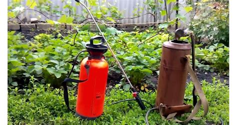 През юли пръскания срещу плодови червеи акари и болести по овошките Български Фермер