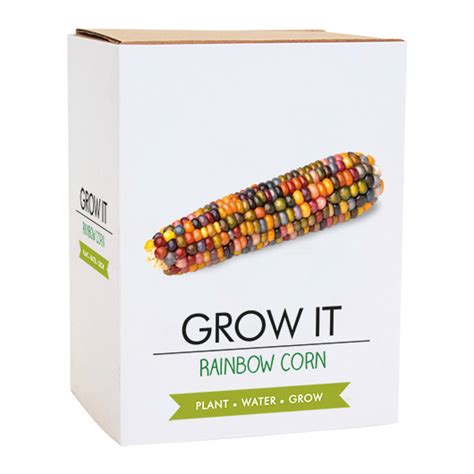Rainbow Corn Grow It Kit Fun Sprouting T