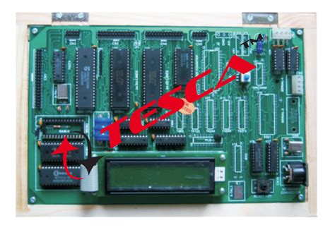 Order Code 202141597