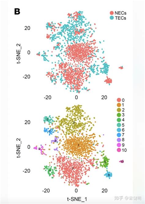 单细胞转录组数据处理之细胞亚群比例比较 知乎