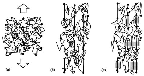 SIC Model Proposed By Tosaka Et Al 23 For Crosslinked NR Relatively Download Scientific