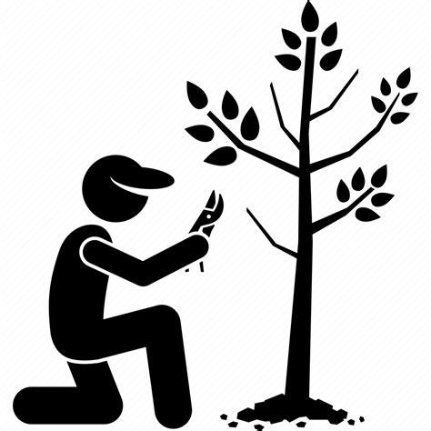 Branch Cut Cutting Gardener Growing Tree Trimming Icon Download On Iconfinder