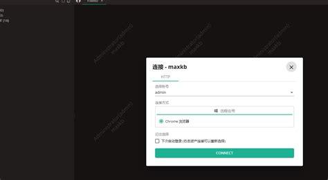 访问website资产报错，应用发布机状态正常。报错：core Api 发生错误 Connect Api Core Err No Host